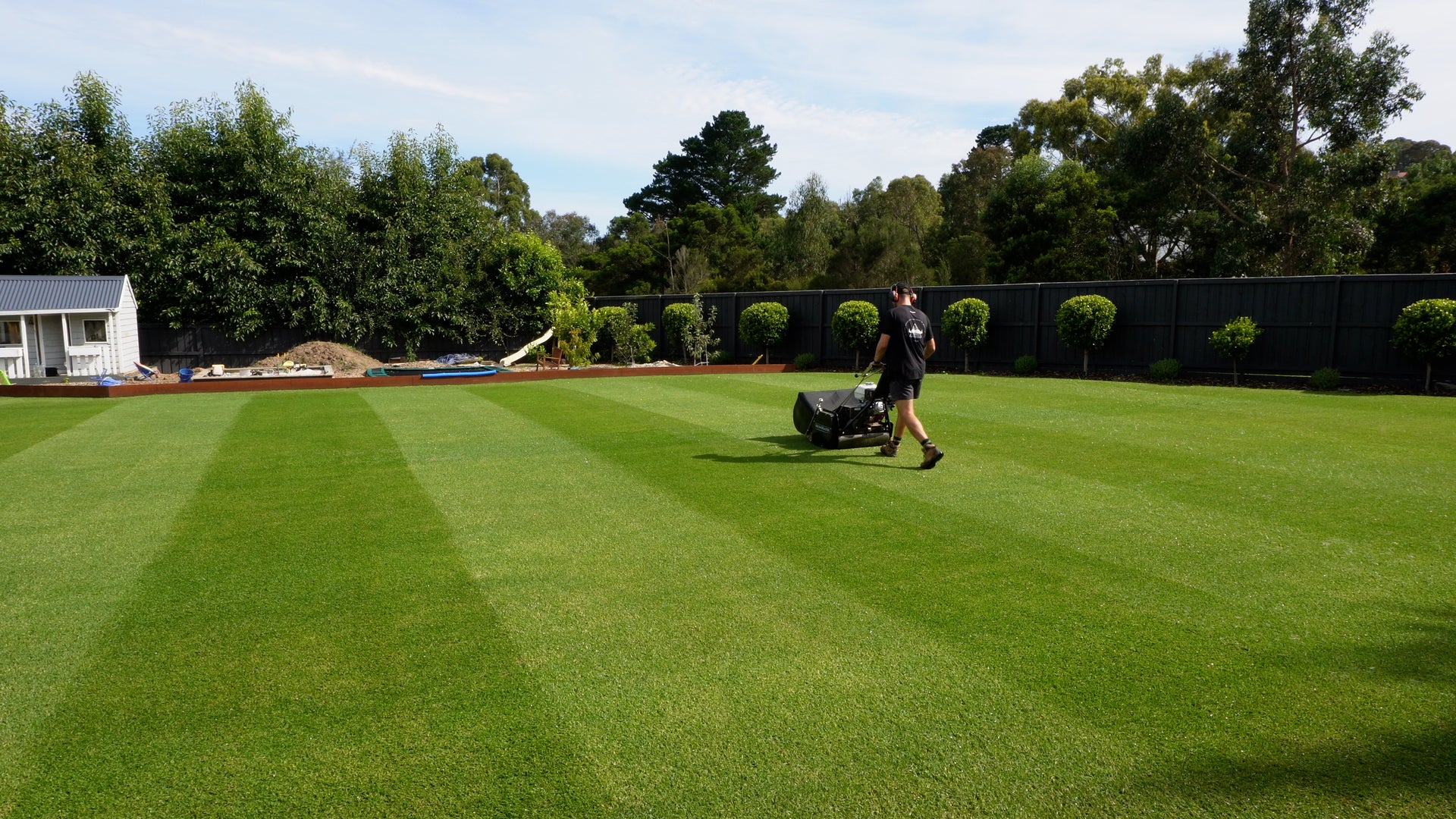 BLADE — Silicon Lawn Treatment by MaxSil™